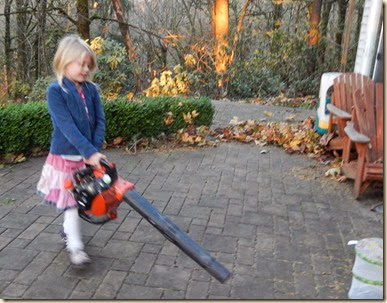 The World’s Biggest Leaf Pile – Needopedia