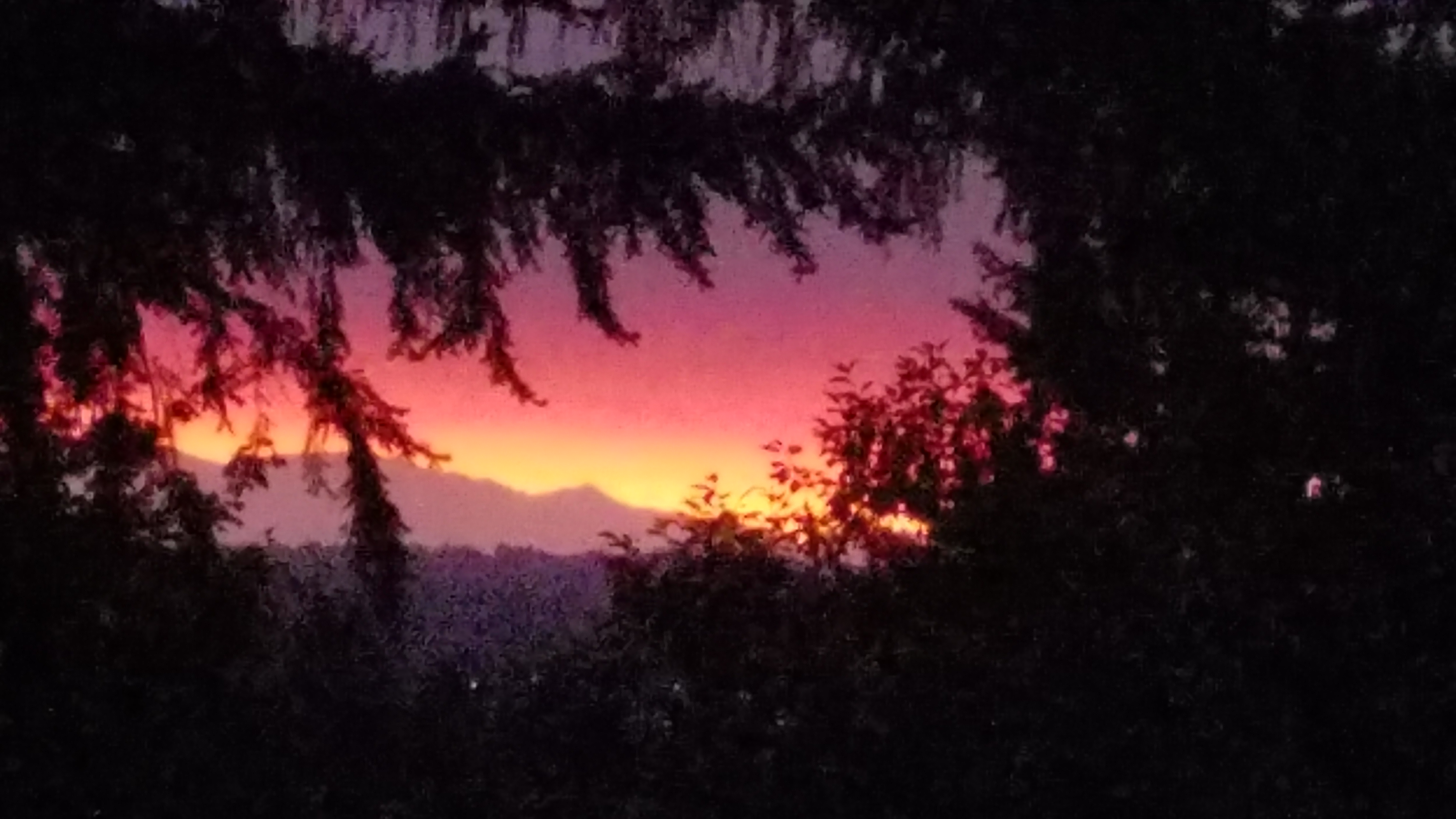 Smokey Sunset – Needopedia