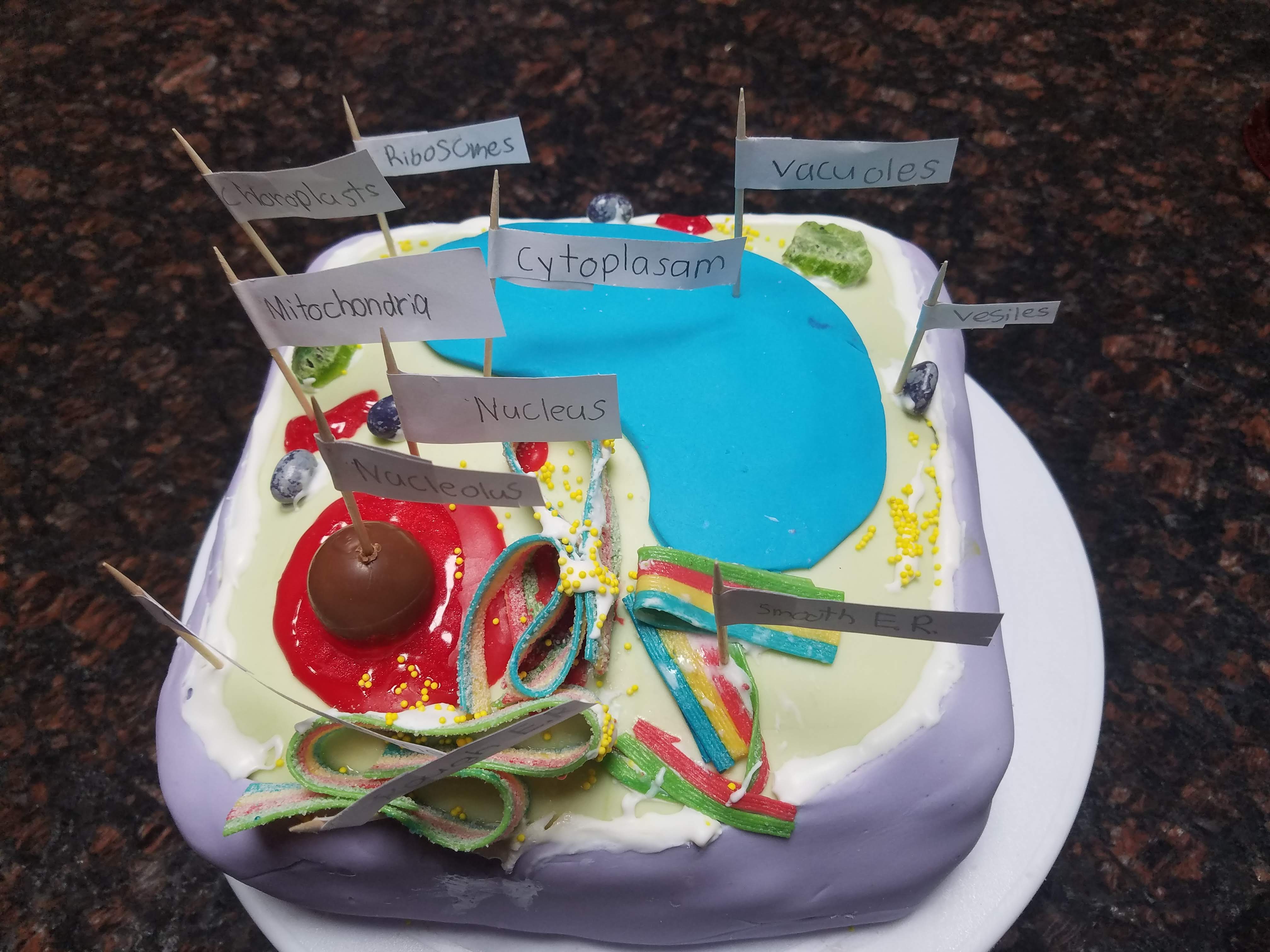 Cell Cake – Needopedia